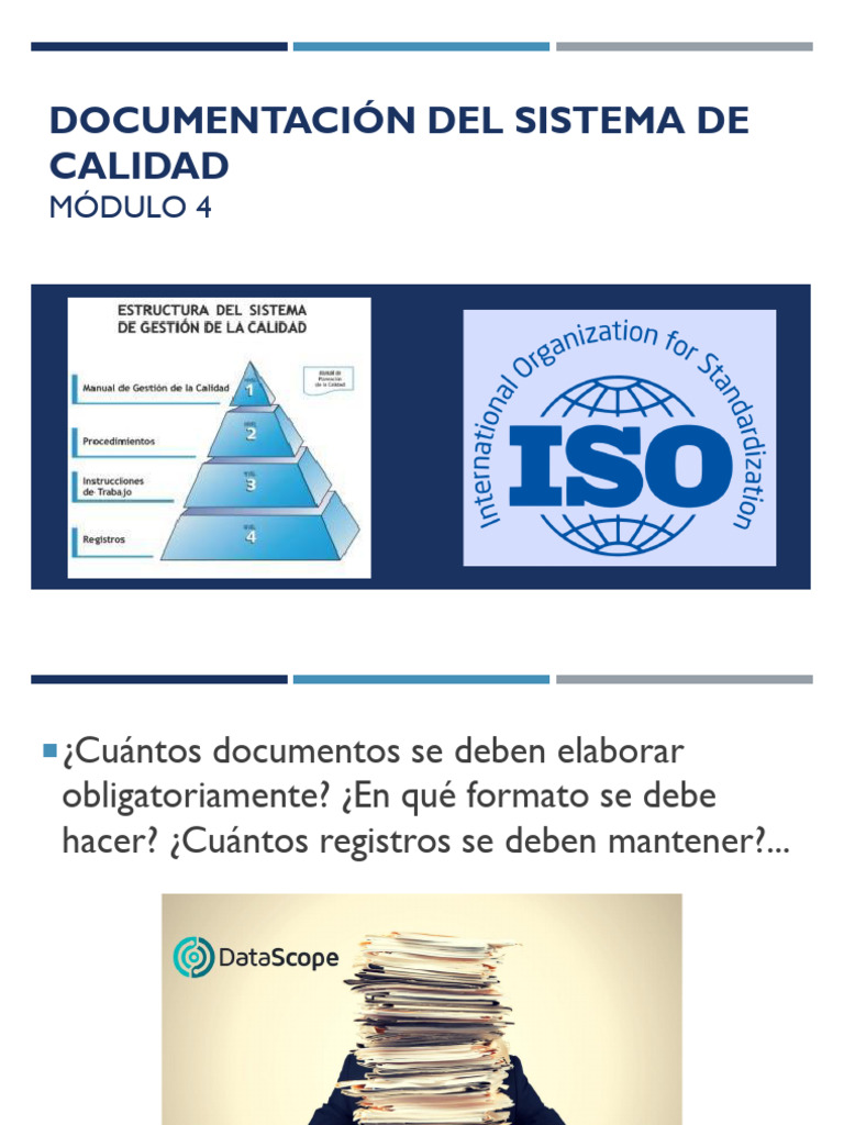 Documentación en Sistemas de Calidad | PDF | Calidad (comercial ...