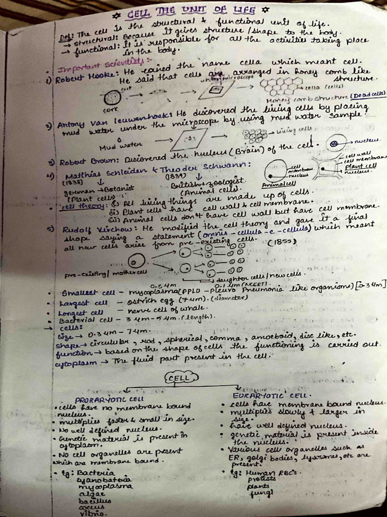 Botany Notes | PDF