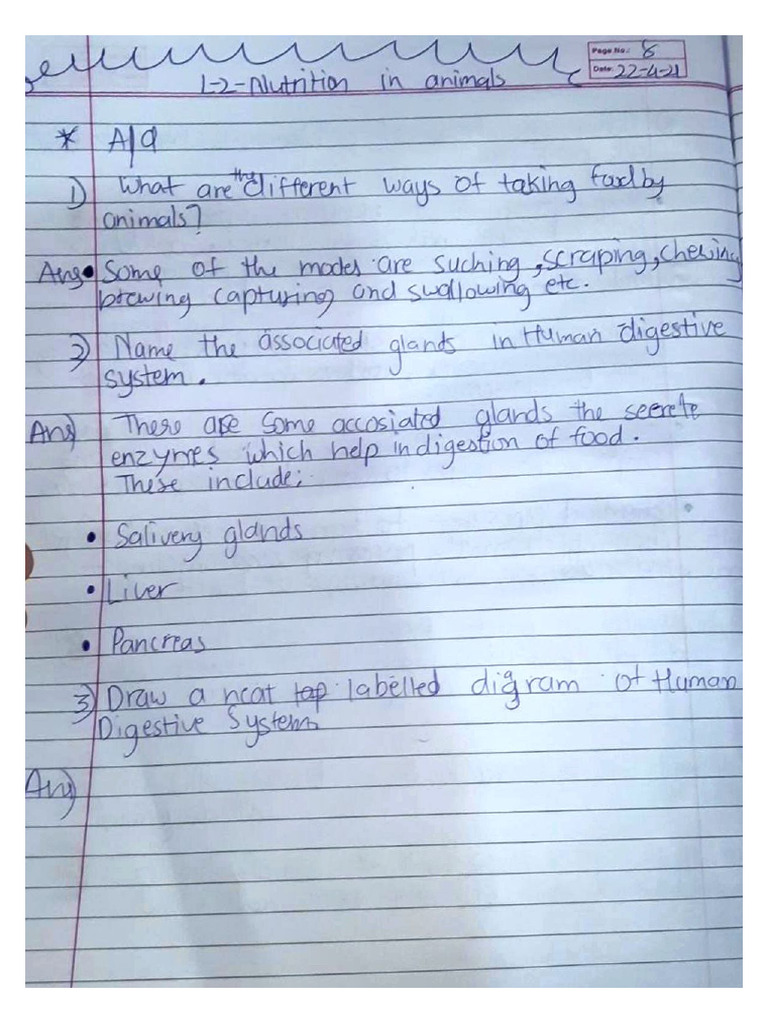 Science Shaurya Shah 7th-A | PDF