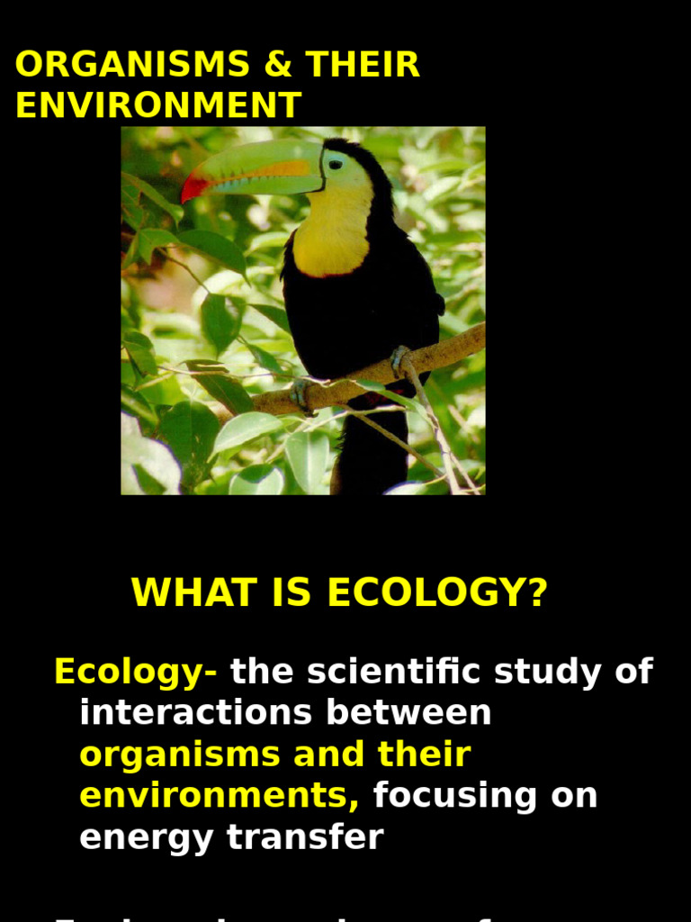 Organisms and Their Environment | PDF | Food Web | Nature