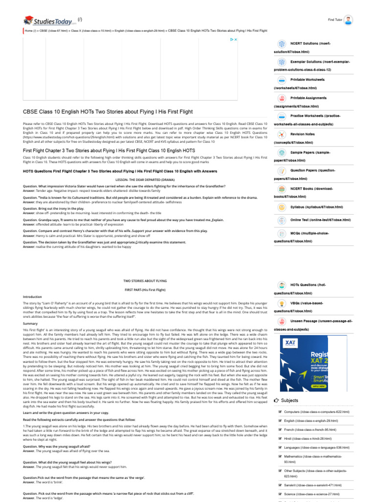 CBSE Class 10 English HOTs Two Stories About Flying I His First Flight ...