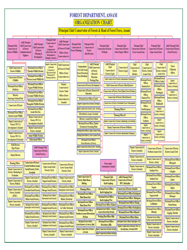 organization_chart | PDF | Forestry | Forests