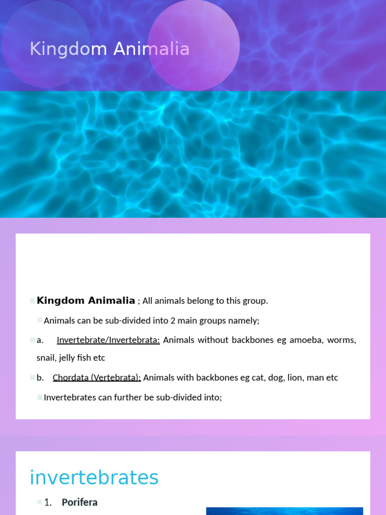 Overview of Animal Kingdom Classification | PDF | Invertebrate | Amphibian
