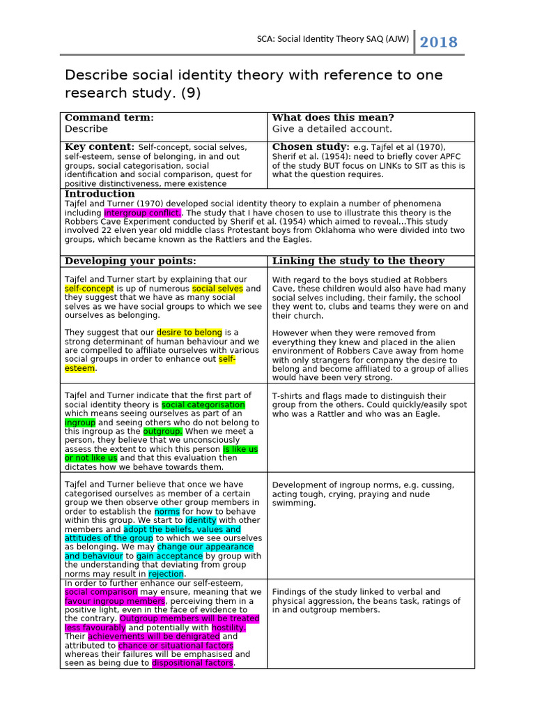 Describe Social Identity Theory With Reference To One Research Study ...