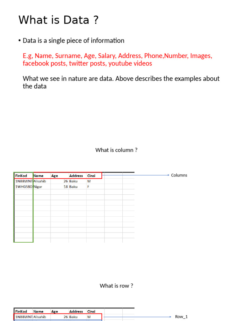 Introduction To Data Lesson 1 | PDF | Computer Data Storage | Random Access Memory