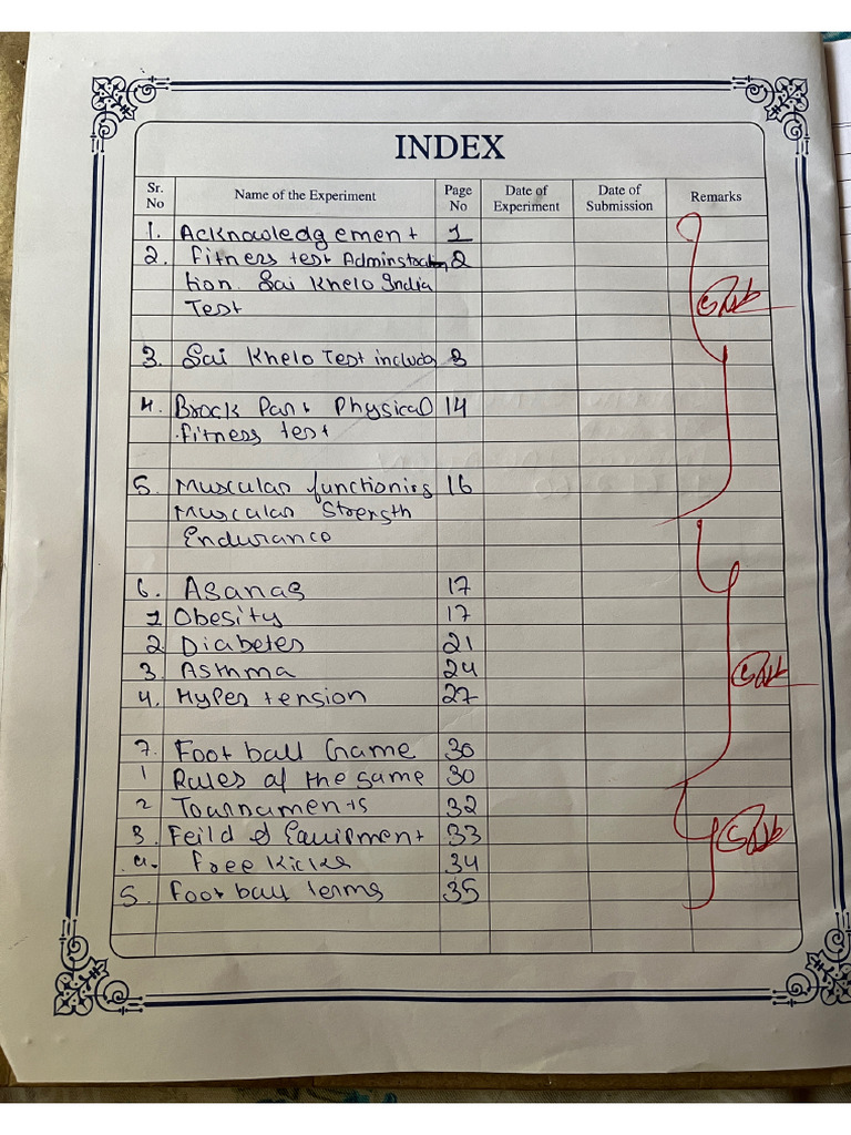 Pe Project Class 12th | PDF