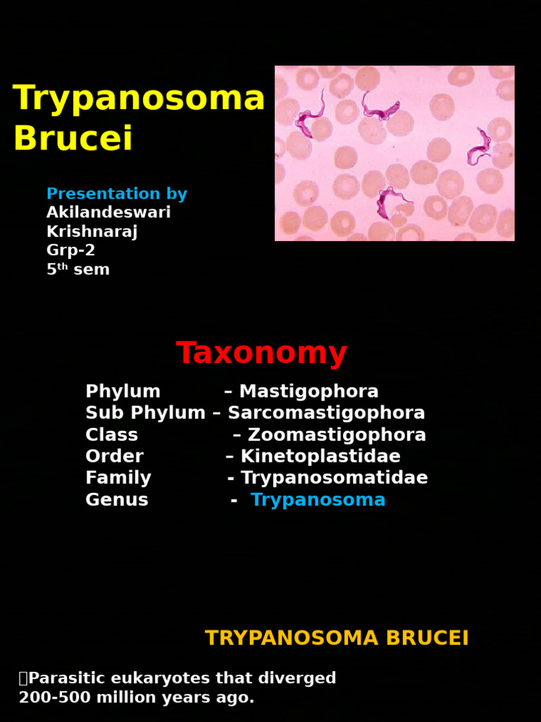Trypanosoma brucei | PDF