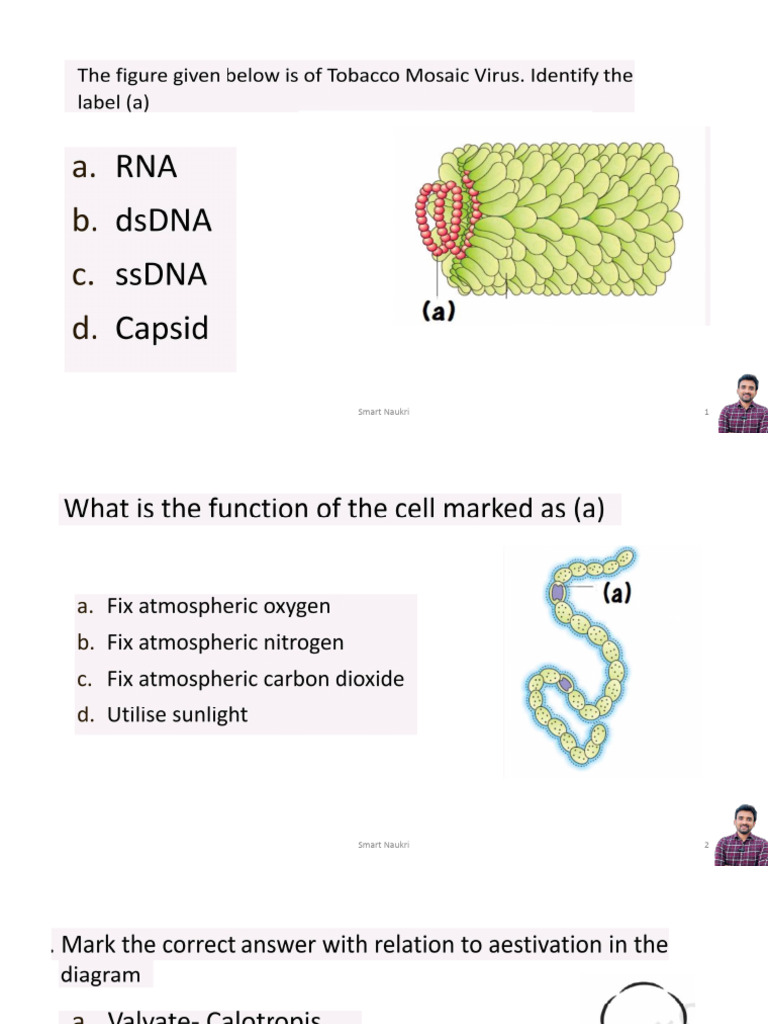 Biology Class 11th Diagrams... | PDF