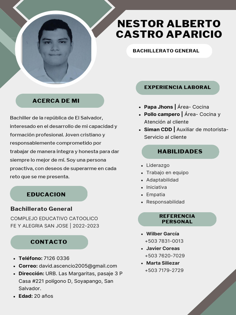 Nestor Castro CV | PDF