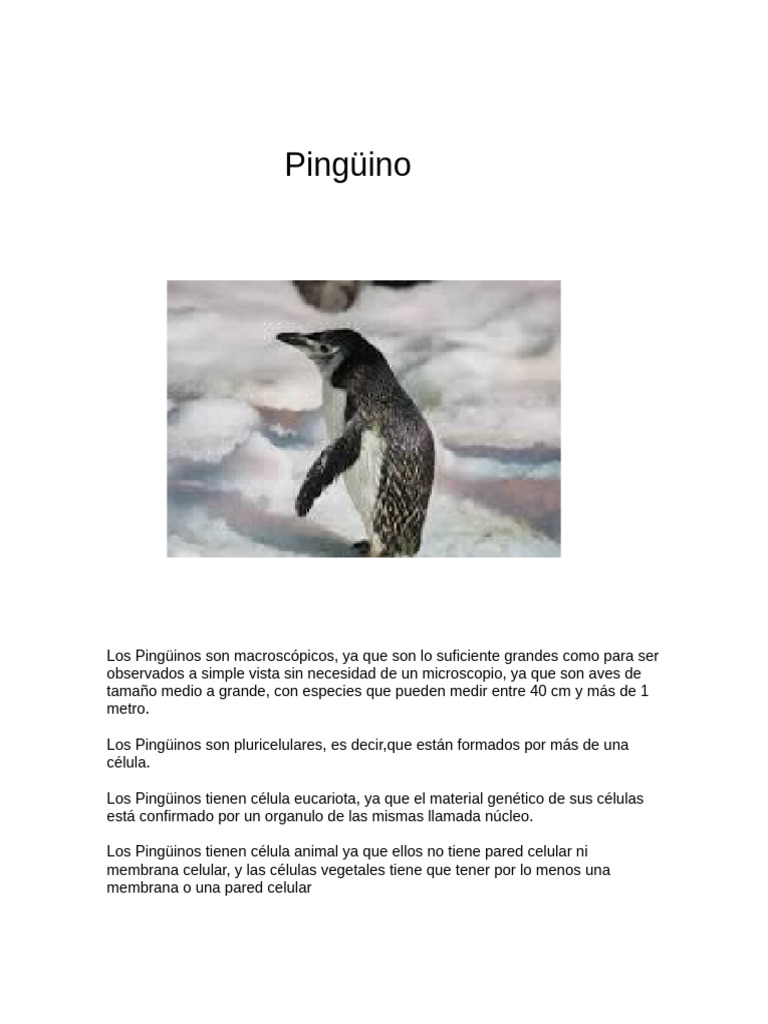 Características Biológicas de los Pingüinos | PDF | Biología Celular ...