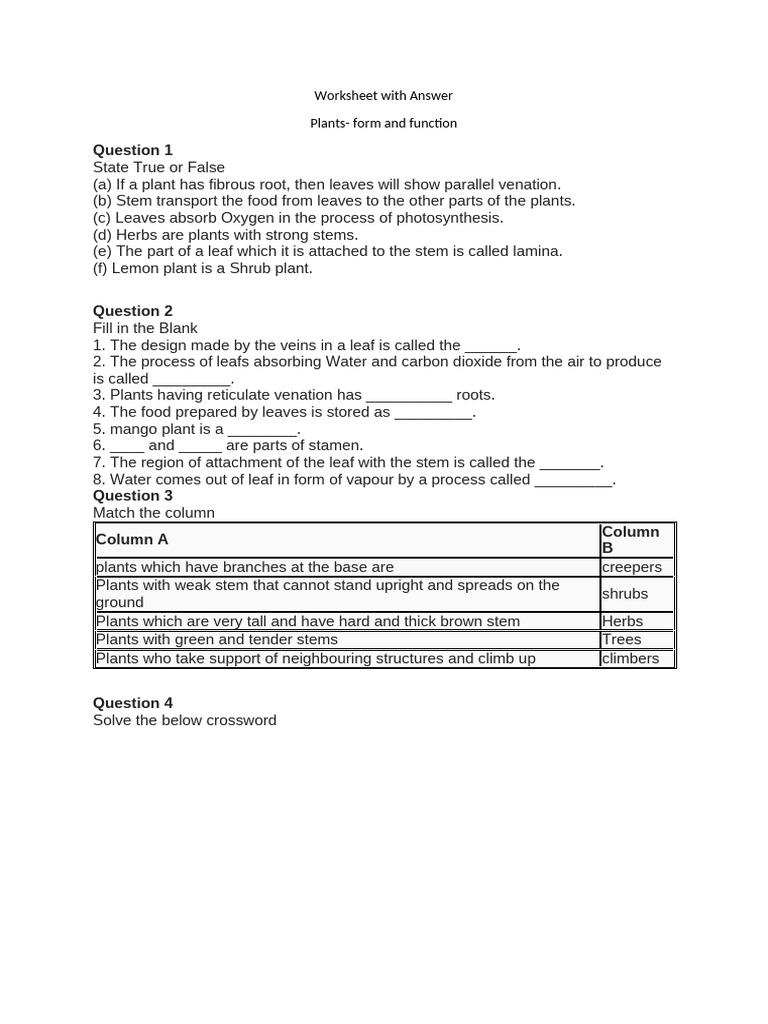 Plant Anatomy Worksheet with Answers | PDF | Leaf | Plants