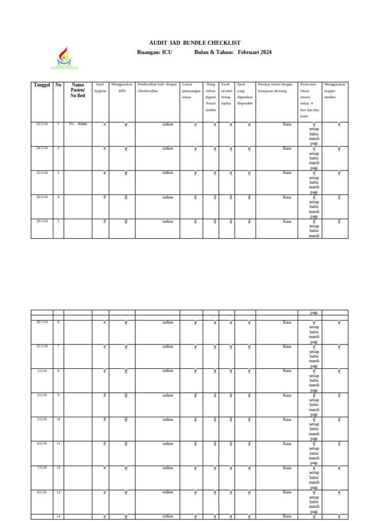 Checklist Audit ICU Februari 2024 | PDF