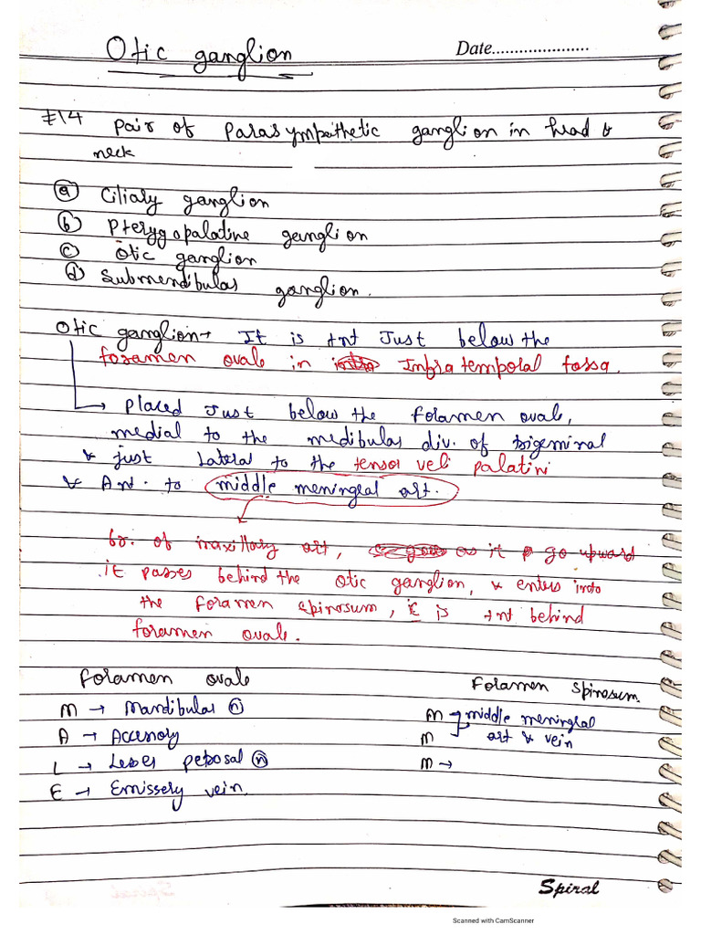 Otic Ganglion | PDF