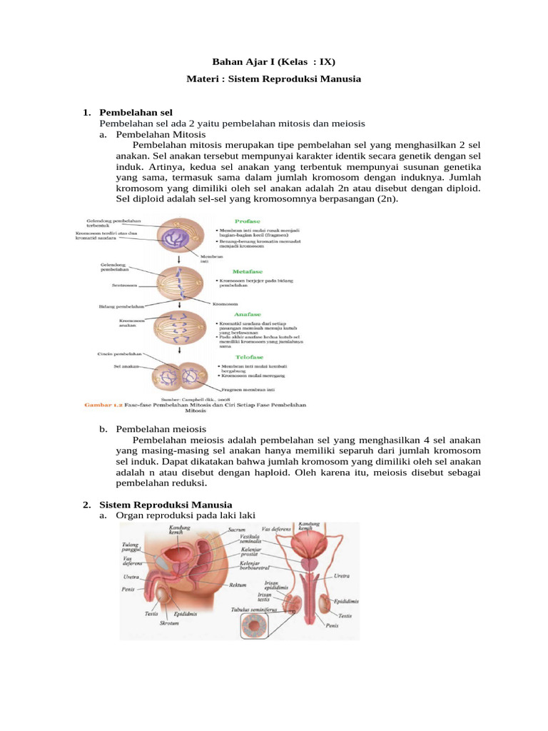 BAHAN AJAR 1 SISTEM REPRODUKSI | PDF