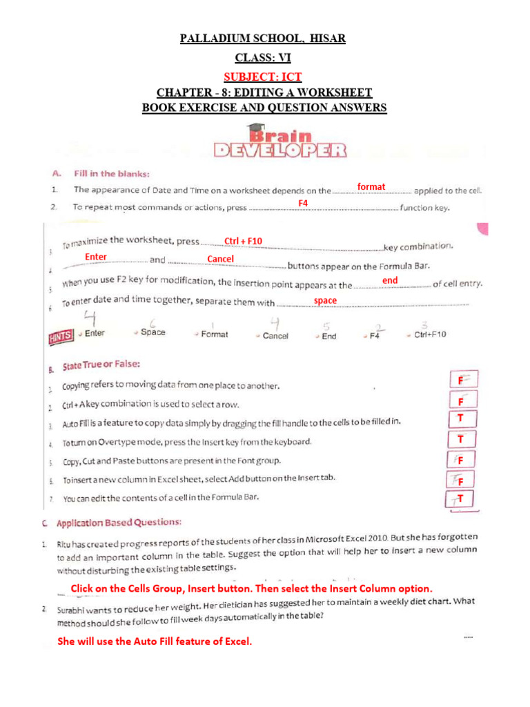 Editing Worksheets: Class VI ICT Guide | PDF