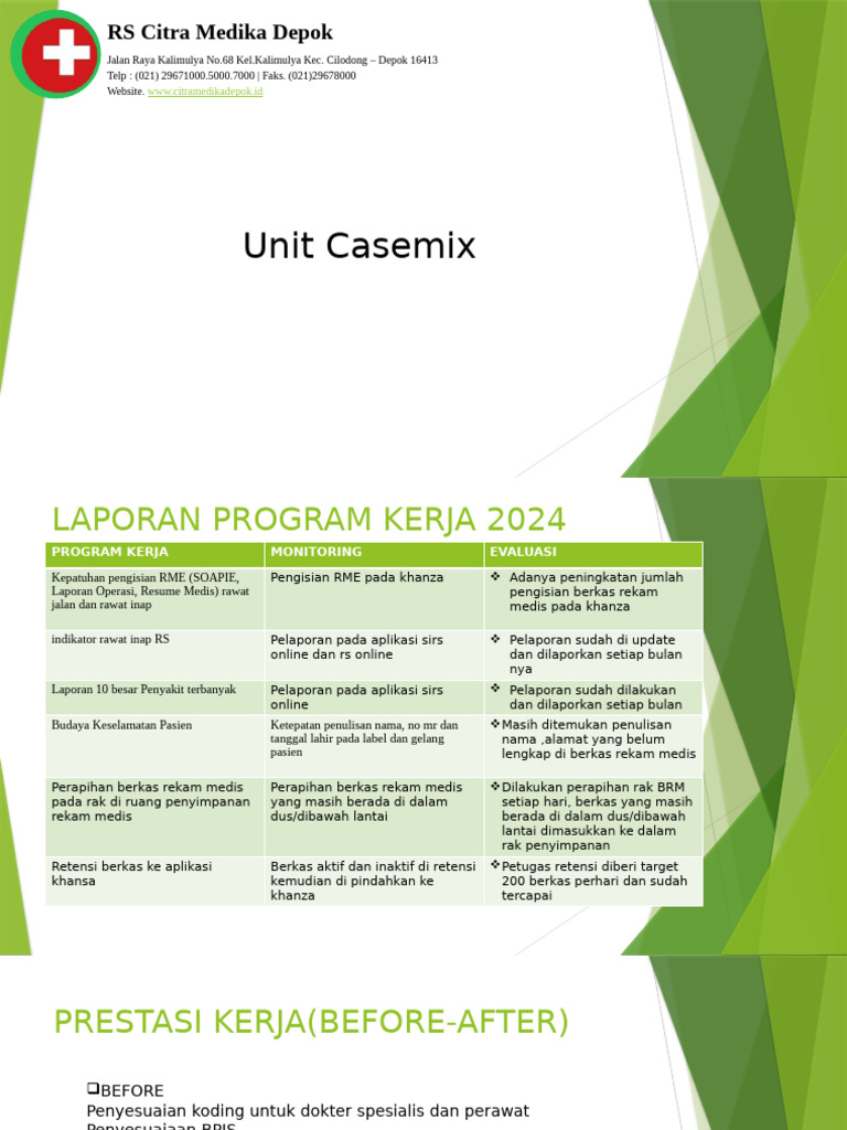 Raker Casemix 2025 | PDF