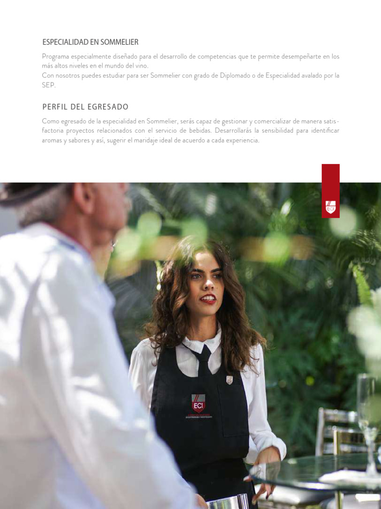 Plan-De-Estudios Somm | PDF