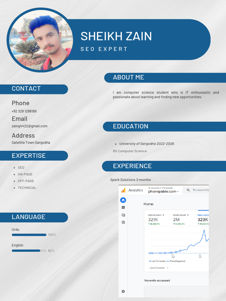 Sheikh Zain SEO Resume | PDF