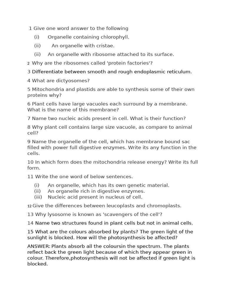 Cell Organelles and Their Functions | PDF