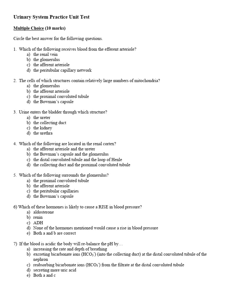 Urinary System Practice Unit Test - 2 | PDF | Kidney | Urinary System