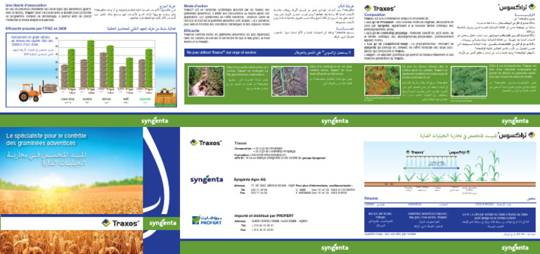 Efficacité du désherbant Traxos® | PDF | Herbicide | Céréale
