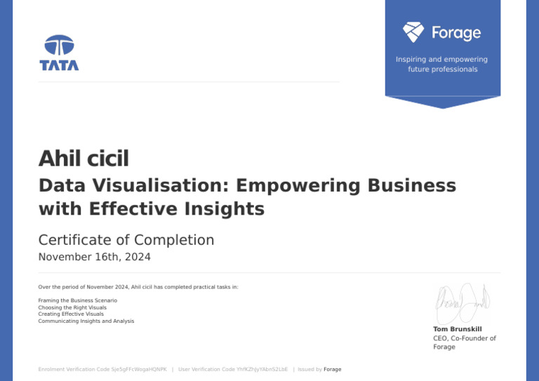 Data Visualization Certificate 2024 | PDF