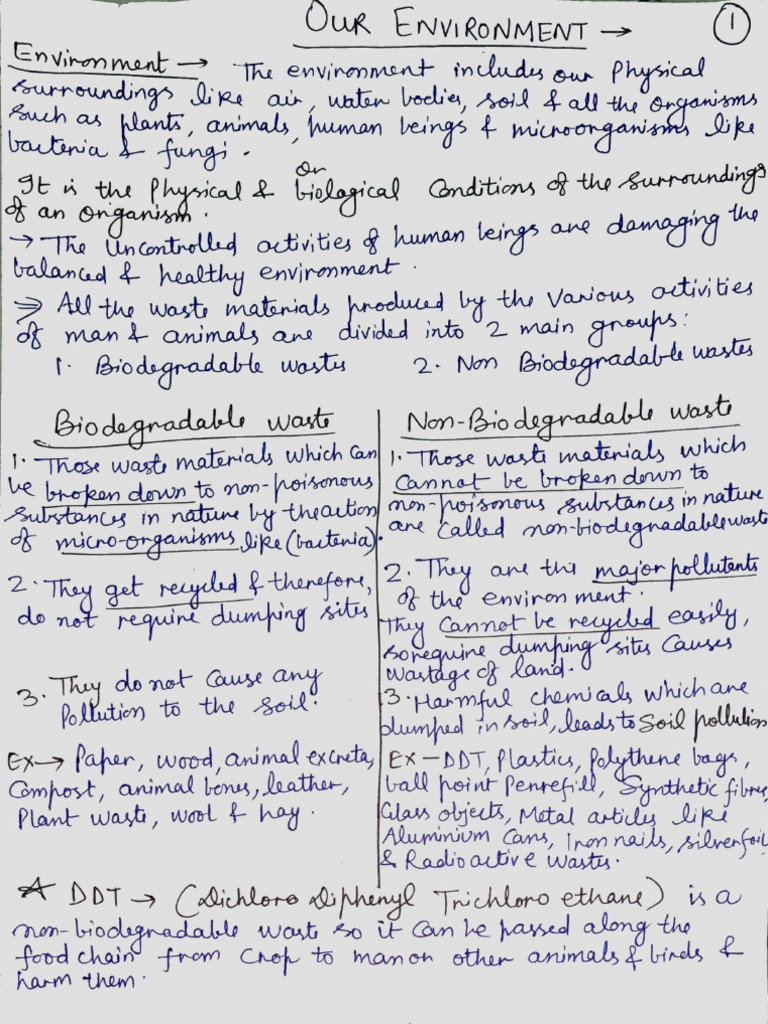 Our Environment 10th Cbse | PDF