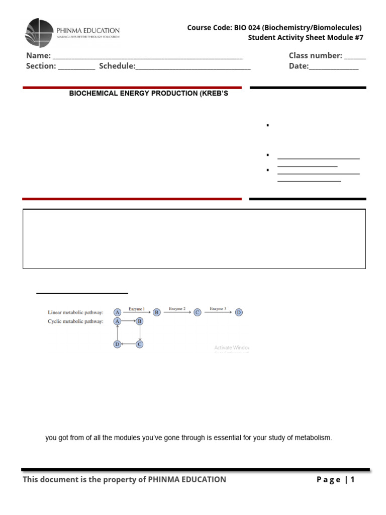 SAS For Biochemistry BIO 024 Module 7 | PDF | Electron Transport Chain ...