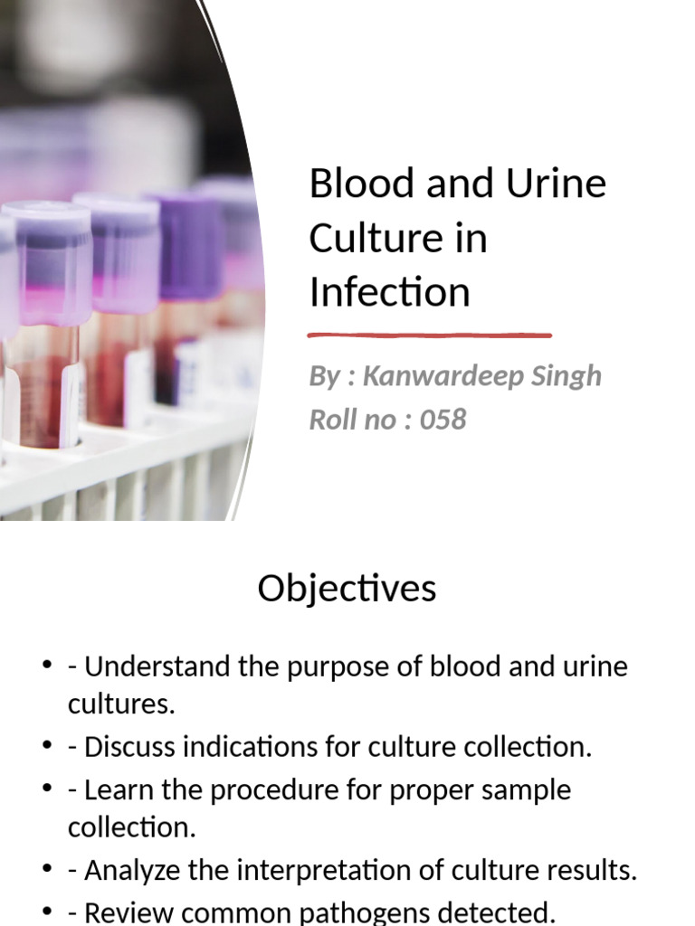 Blood and Urine Culture Procedures | PDF