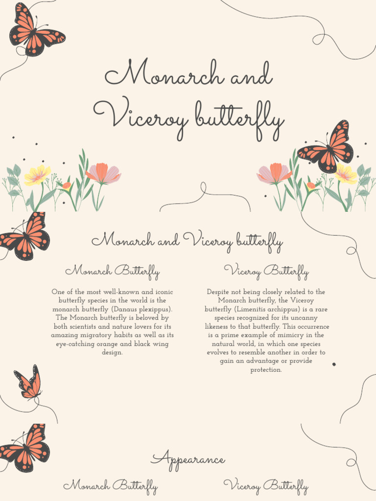 Monarch vs. Viceroy Butterfly Guide | PDF | Pupa | Butterfly