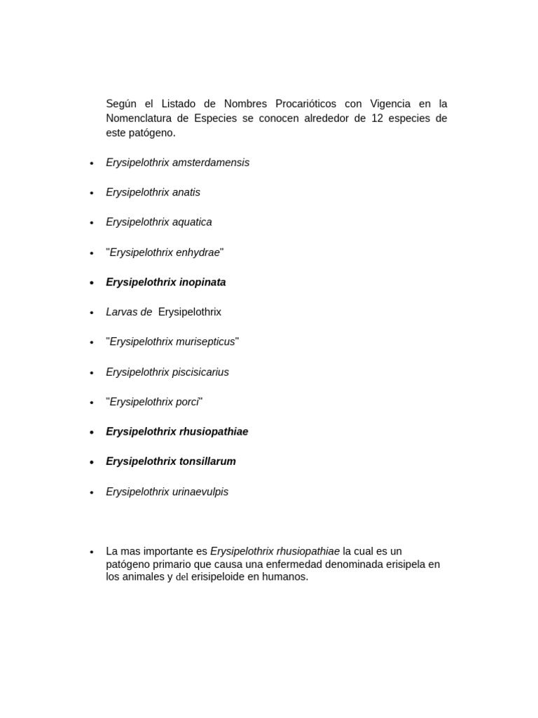 Discucion Del Tema | PDF