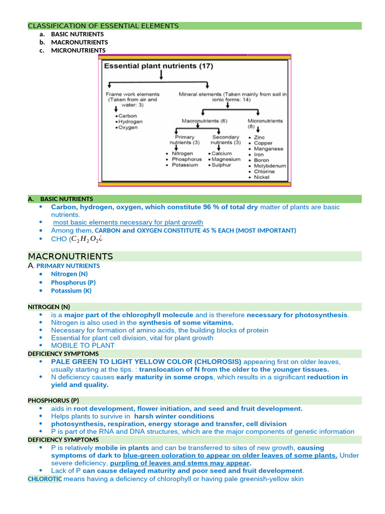 Essential Elements for Plant Growth | PDF | Plant Nutrition | Biology