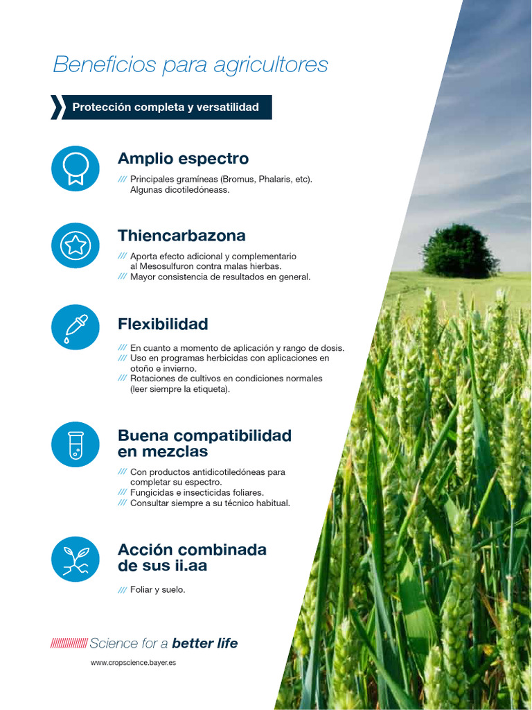 Incelos: Herbicida Eficaz para Gramíneas | PDF | Agricultura