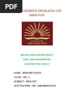 Dna Fingerprinting Investigatory Project 2024-25 Class-12 | PDF | Gel ...