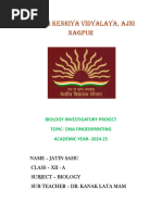 Dna Fingerprinting Investigatory Project 2024-25 Class-12 | PDF | Gel ...