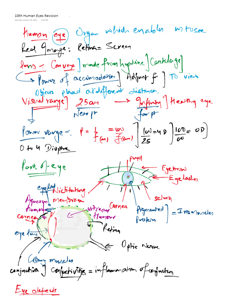 10th Human Eyes Revision Notes | PDF