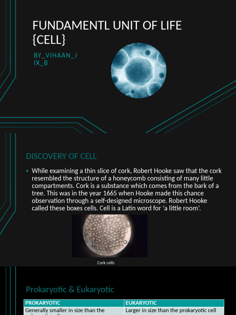 Cell Structure and Functions Guide | PDF | Endoplasmic Reticulum | Cell ...