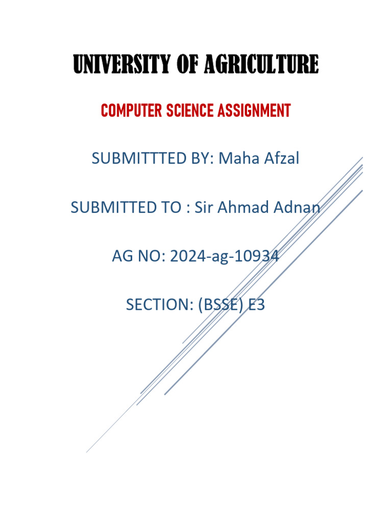 Assignment CS | PDF