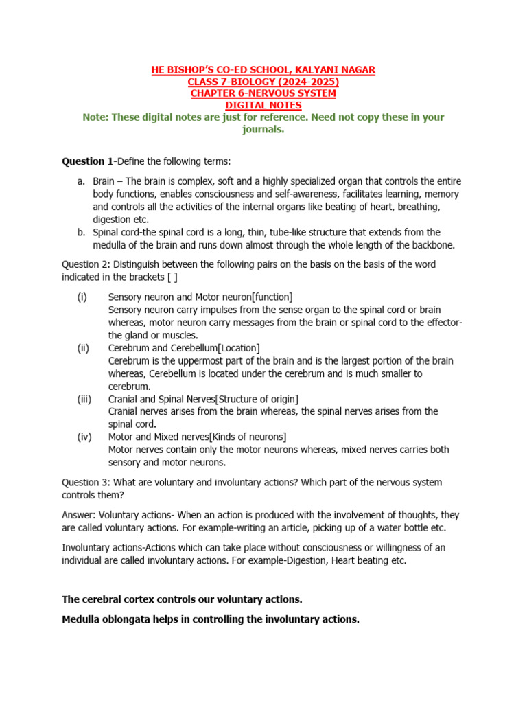 04122024013013class 7-Digital Notes-Nervous System | PDF
