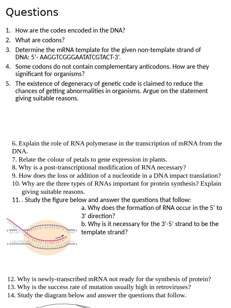 Revision Questions On Genetics | PDF