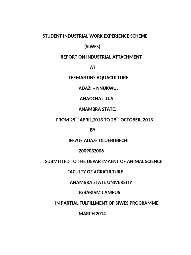 Student Industrial Work Experience Schem | PDF