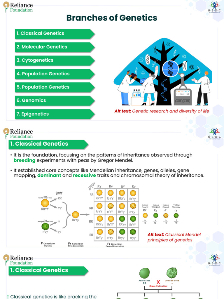Branches of Genetics | PDF | Genetics | Gene