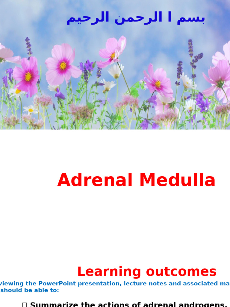 12-Adrenal Medulla | PDF | Adrenal Gland | Endocrine System
