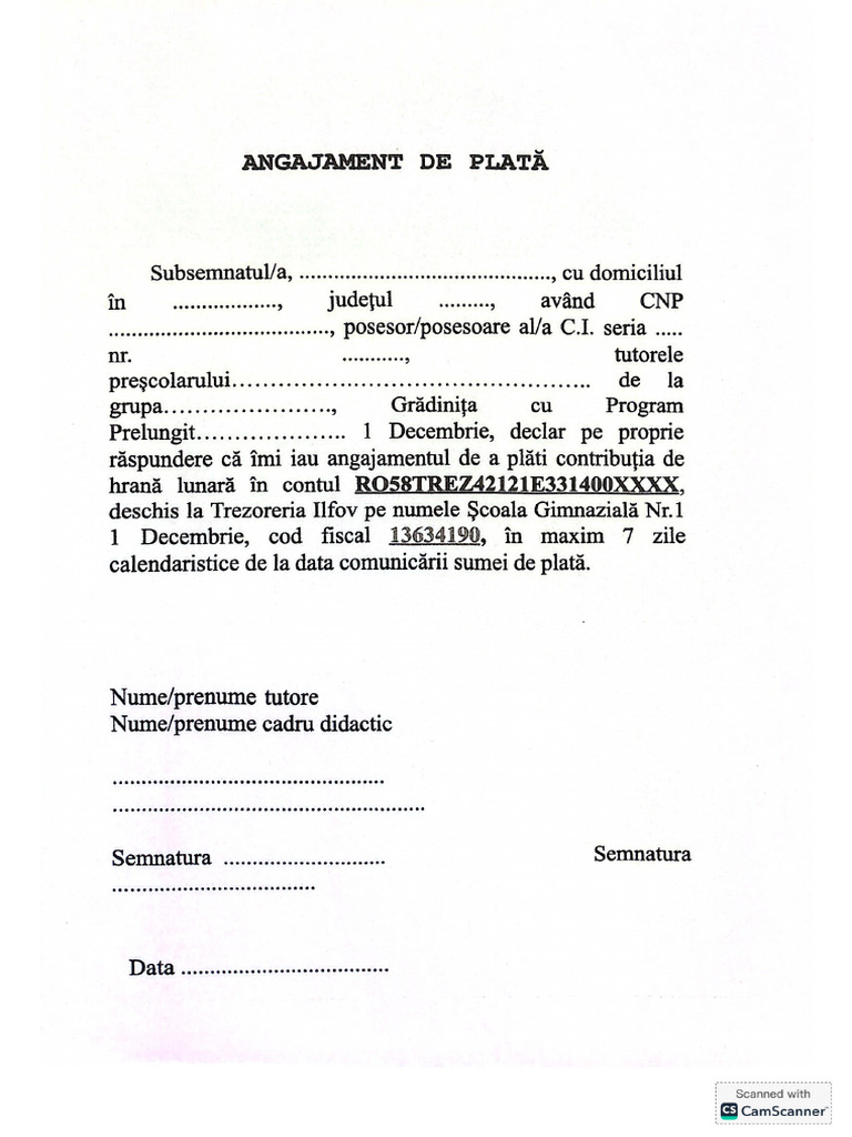 Angajament de Plată Masă | PDF
