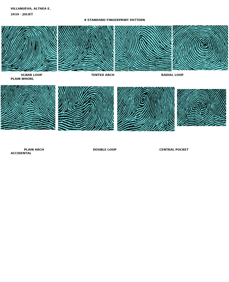 Fingerprint Patterns Guide | PDF