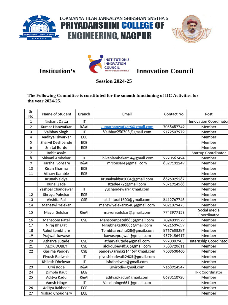 IIC Committee Overview 2024-25 | PDF