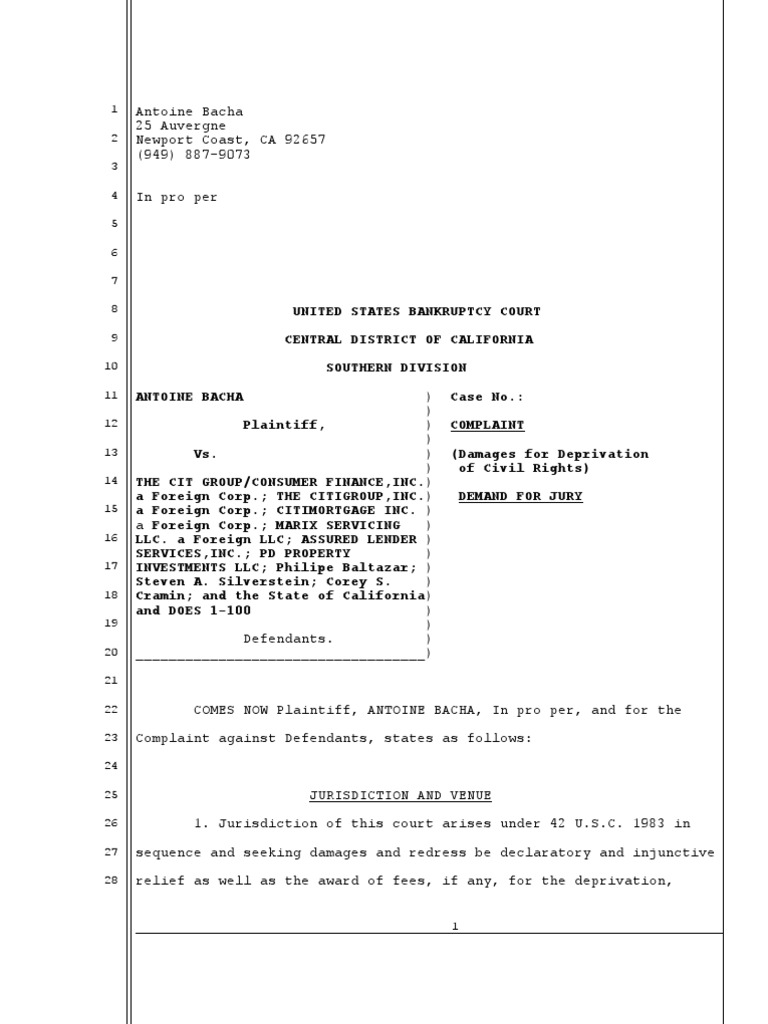 Plead Paper Flow BK Pleading Paper 42 USC 1983 CRAMIN | PDF | Ex Parte ...