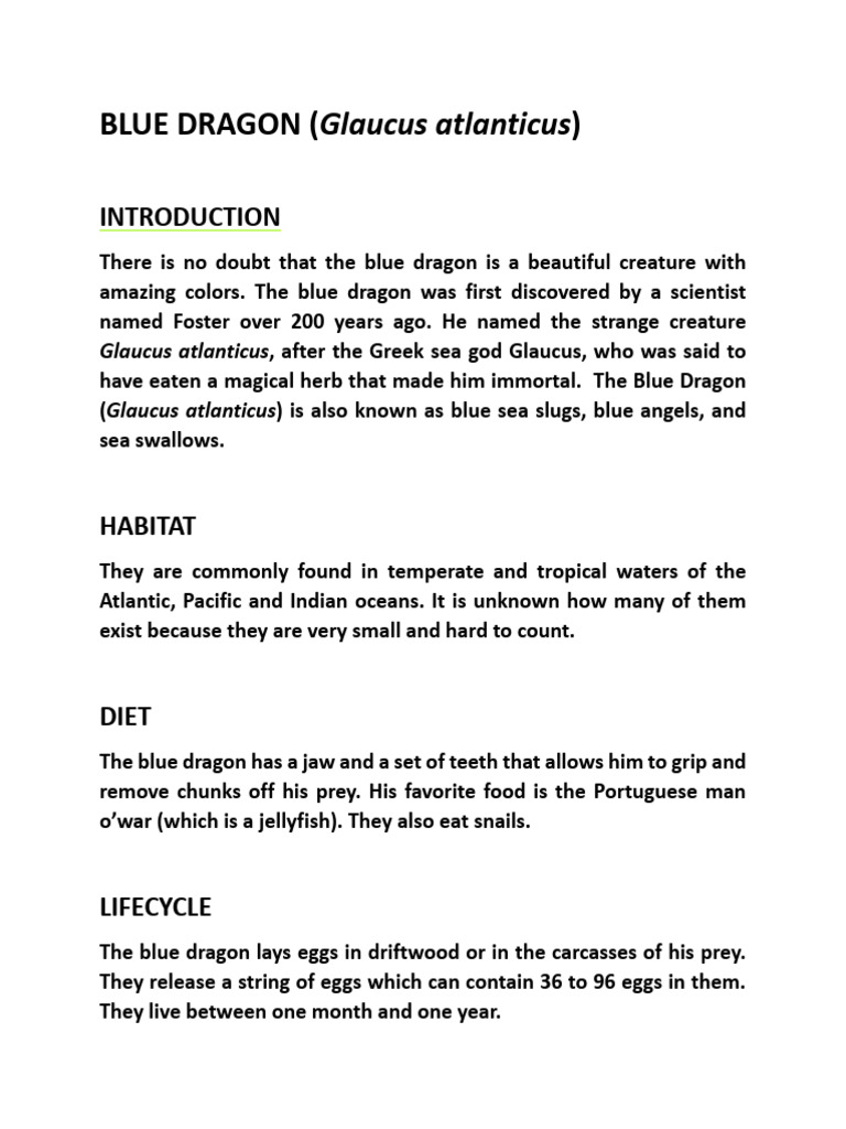 Blue Dragon: Facts & Dangers of Glaucus atlanticus | PDF