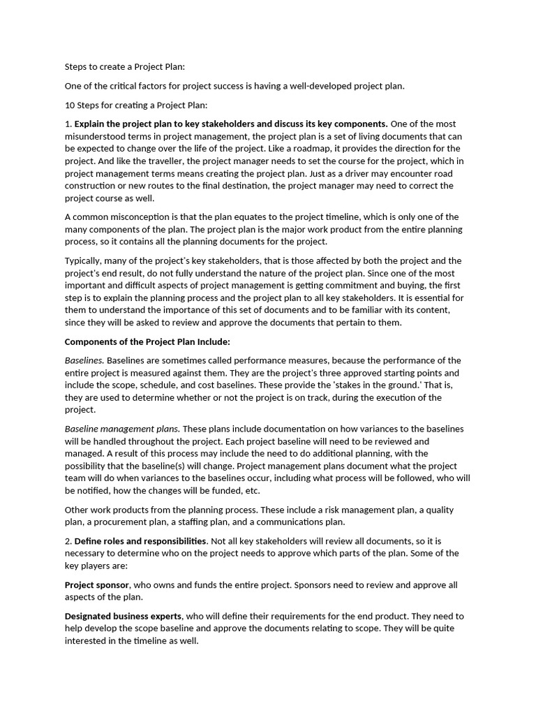 Project Plan | PDF | Business