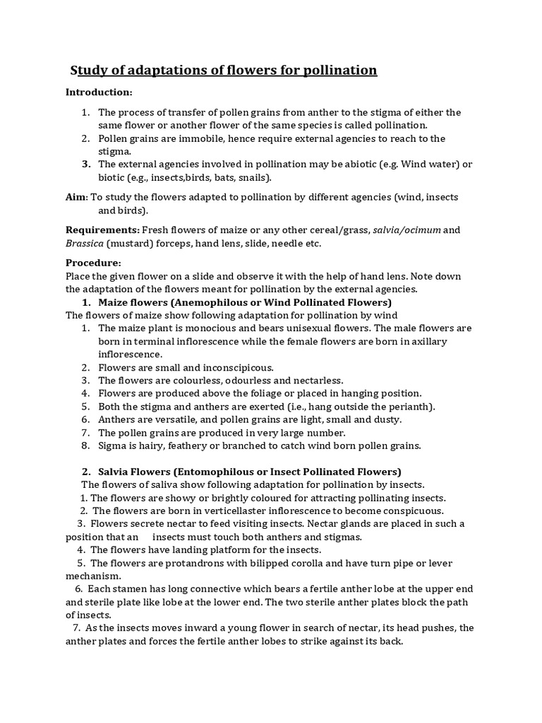 Flower Pollination Adaptations Study | PDF | Flowers | Pollination
